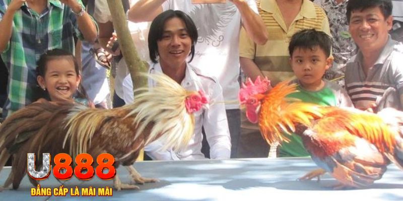 SUNWIN20 ⭐ Đăng Ký Ngay SUNWIN20 – Quà Tặng Đặc Biệt Đang Đợi Bạn! 🎁